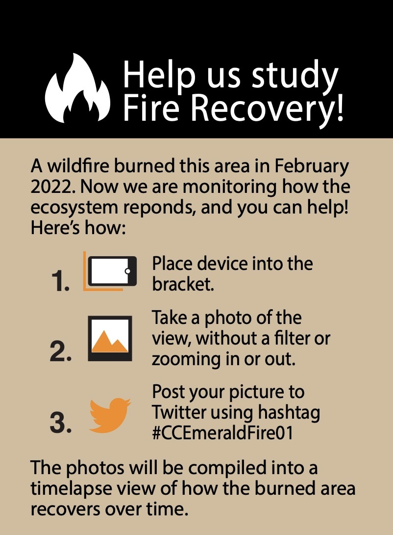 Emerald Fire Community Photo Monitoring Project – Crystal Cove Conservancy