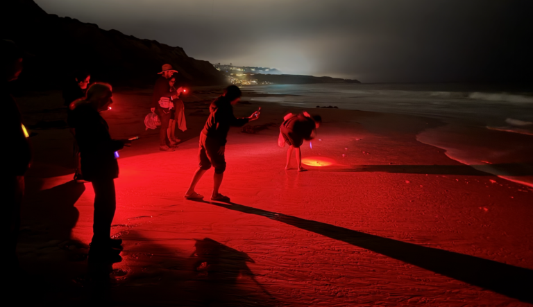 2026 Grunion Run – Crystal Cove Conservancy